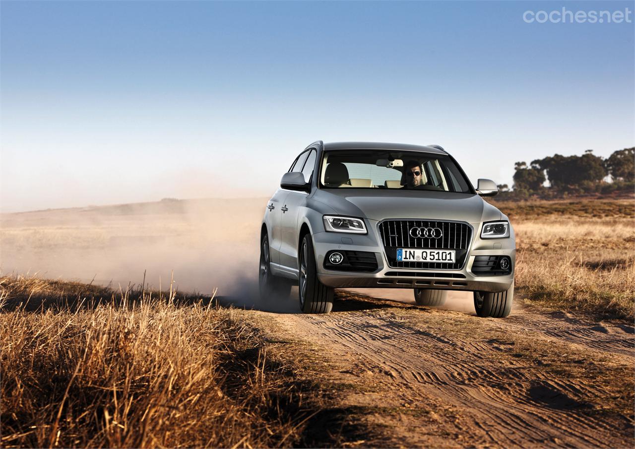 Gama SUV de Audi: nuevas series especiales | Noticias coches.net