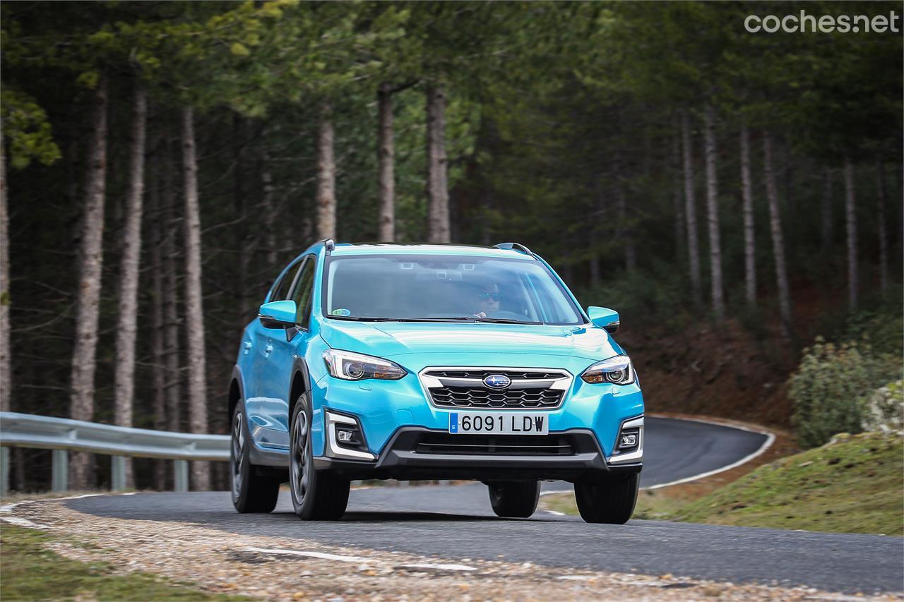 ¿Quieres un coche de GLP? Repasamos todos los modelos a la venta en ...