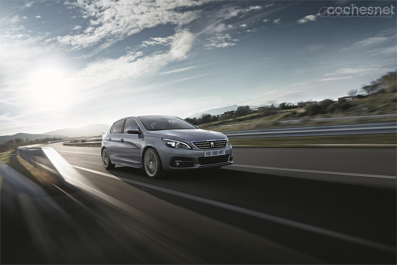 PEUGEOT 308 nuevo: información y precios | Coches.net