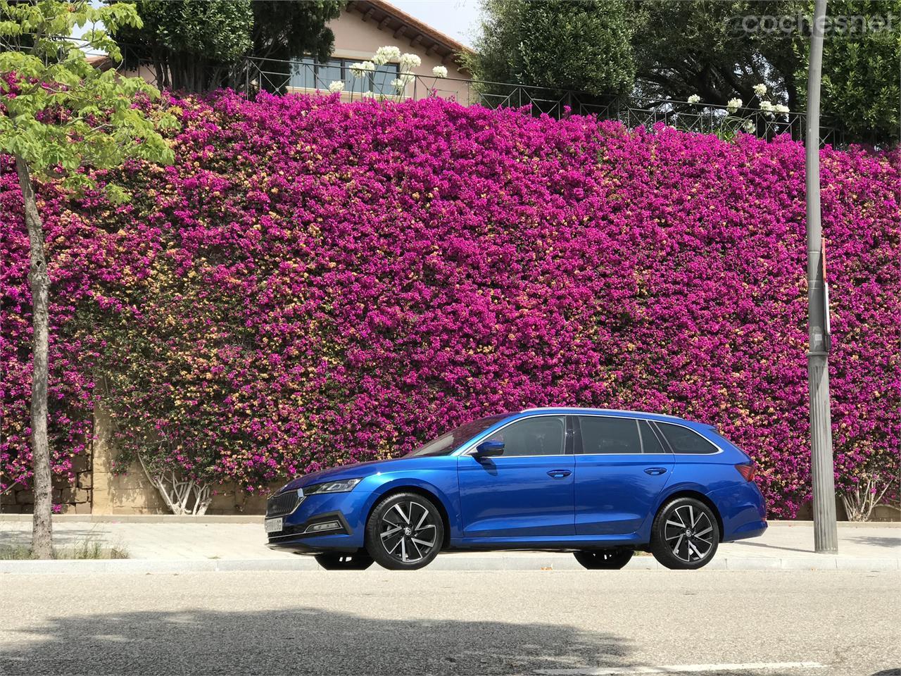 El nuevo Skoda Octavia ya está a la venta desde 19.500 euros | Noticias Coches.net